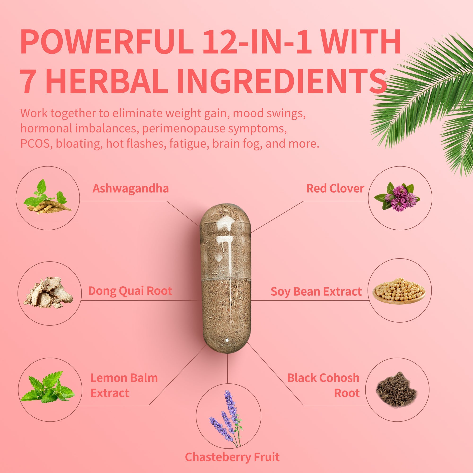 Hormone Balance for Women 12-in-1 Natural Ingredients-60 Vegan Capsule ...